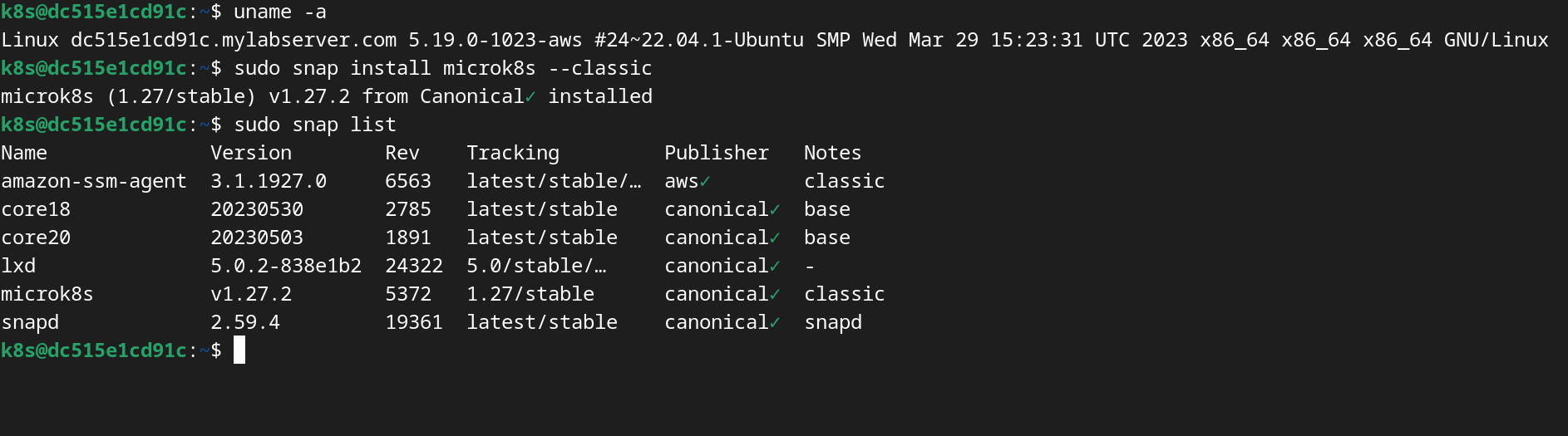 Microk8s Single Node Kubernetes Cluster